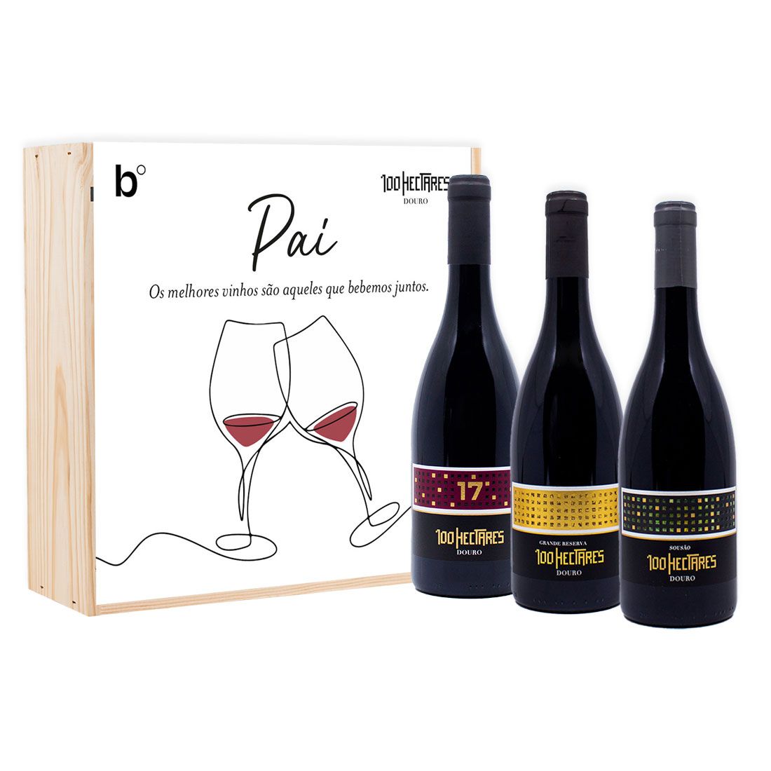 Conjunto 100 Hectares Pai – Bons Bagos